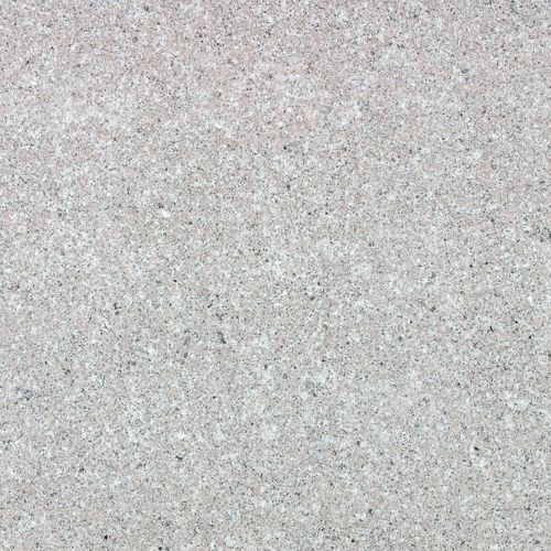 Marcopolo/マルコポーロ | TECTURE（テクチャー）