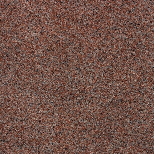 Marcopolo/マルコポーロ - 磨 | TECTURE（テクチャー）