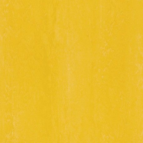 ニューソフトン | TECTURE（テクチャー）