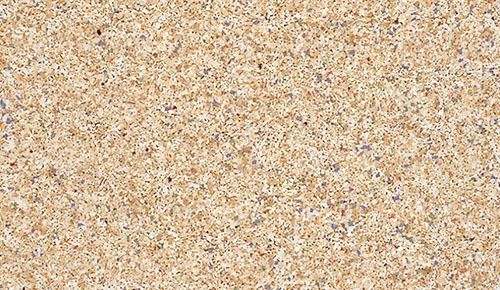 スーラズ プリンスEM | TECTURE（テクチャー）