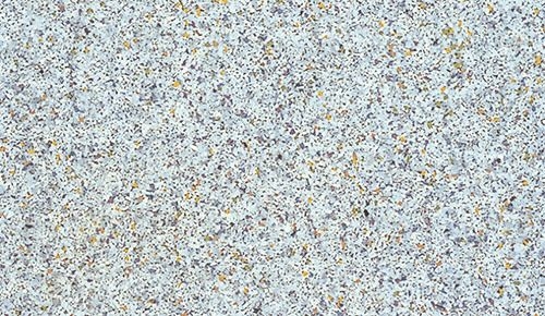 スーラズ プリンスEM | TECTURE（テクチャー）