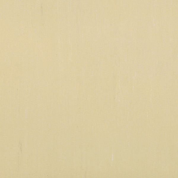 MSフレッシュ | TECTURE（テクチャー）