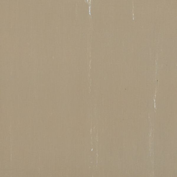 MSフレッシュ | TECTURE（テクチャー）