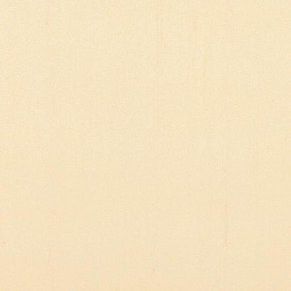 MSフレッシュ | TECTURE（テクチャー）