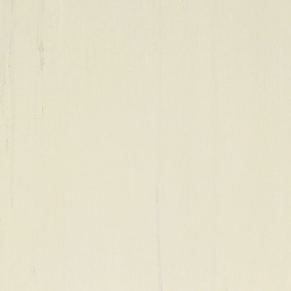 MSフレッシュ | TECTURE（テクチャー）