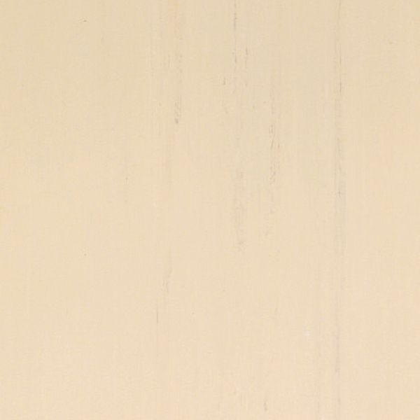 MSフレッシュ | TECTURE（テクチャー）