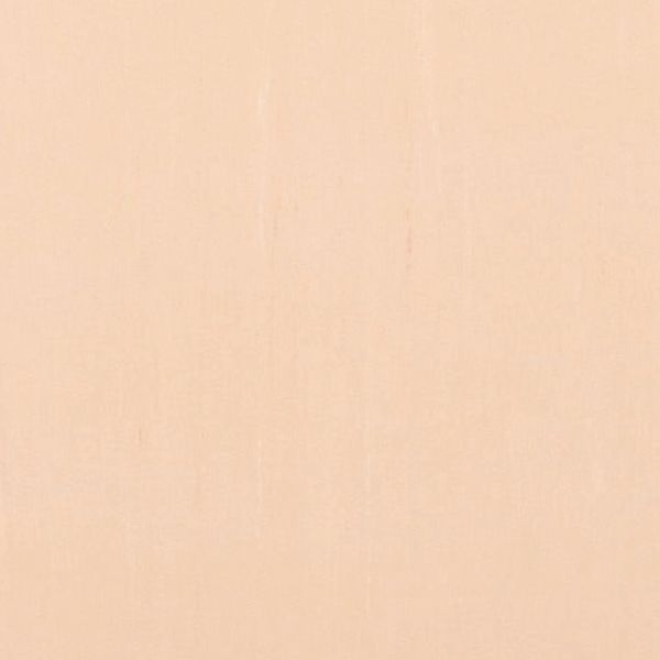 MSフレッシュ | TECTURE（テクチャー）