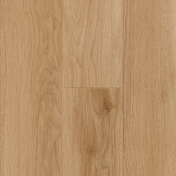 CFシート-SD | TECTURE（テクチャー）