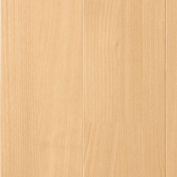 CFシート-SD | TECTURE（テクチャー）