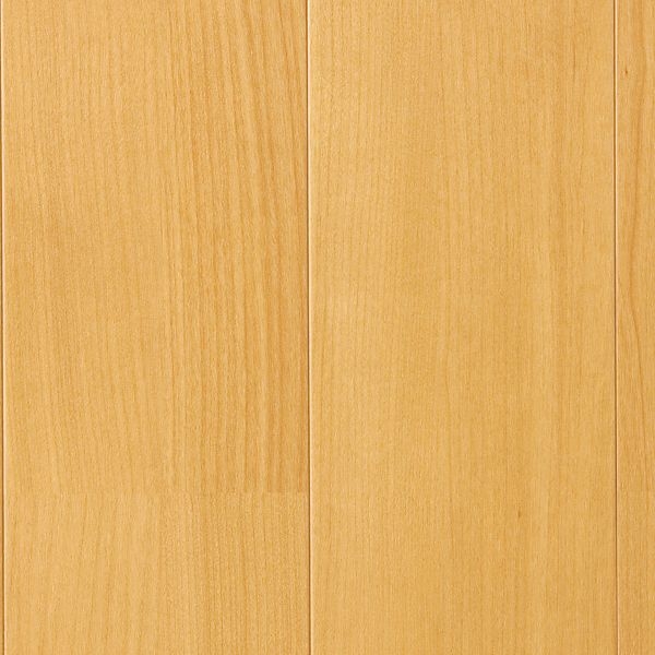 CFシート-SD | TECTURE（テクチャー）