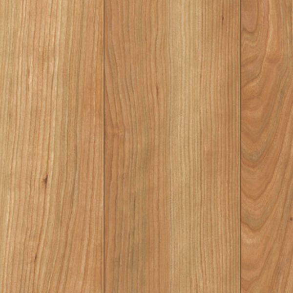 CFシート-SD | TECTURE（テクチャー）