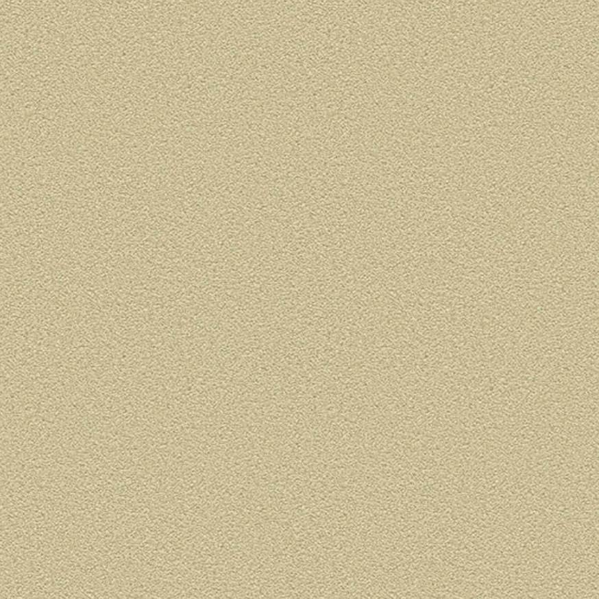 BB9476 | TECTURE（テクチャー）