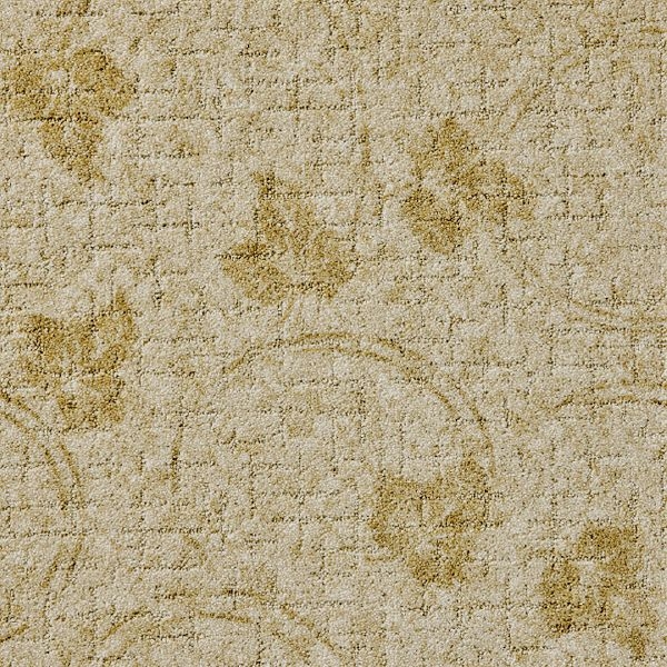 エクスクローム5000 | TECTURE（テクチャー）