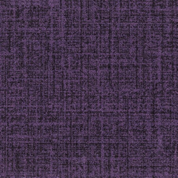 エクスクローム5000 | TECTURE（テクチャー）