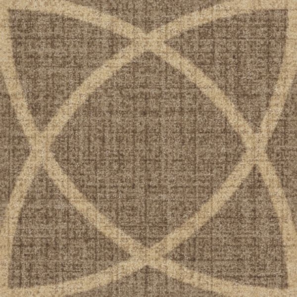 エクスクローム5000 | TECTURE（テクチャー）