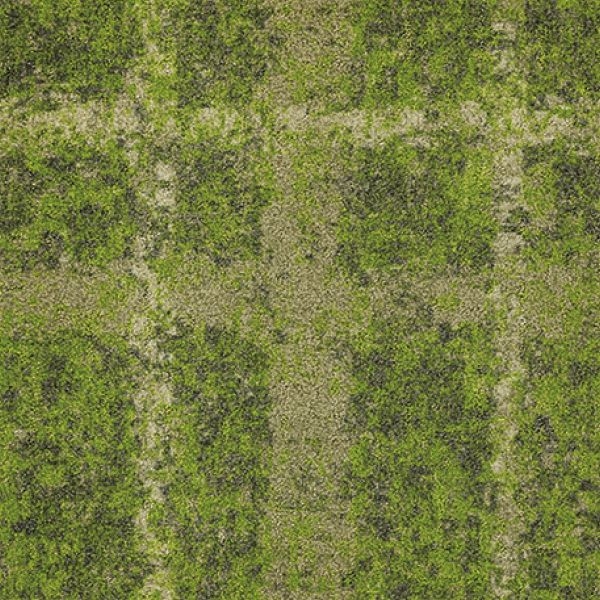 エクスクローム5000 | TECTURE（テクチャー）