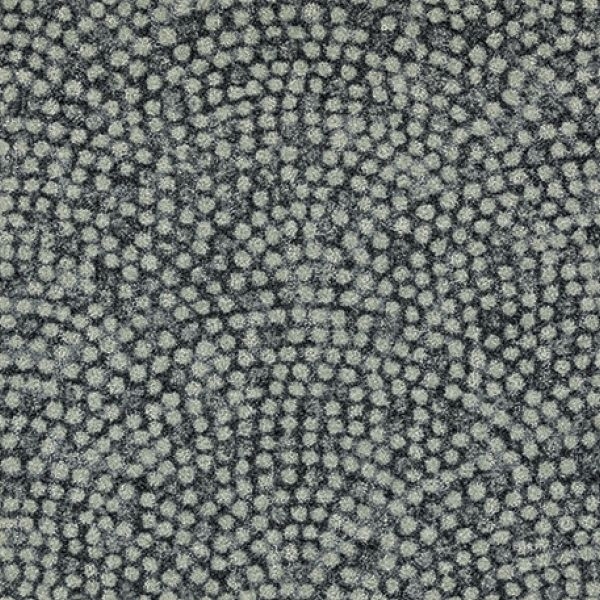 エクスクローム5000 | TECTURE（テクチャー）