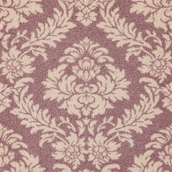 エクスクローム5000 | TECTURE（テクチャー）