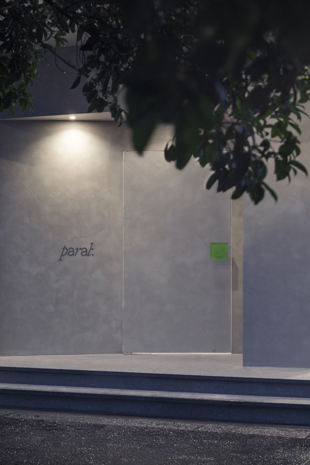 Paralの写真 | TECTURE（テクチャー）