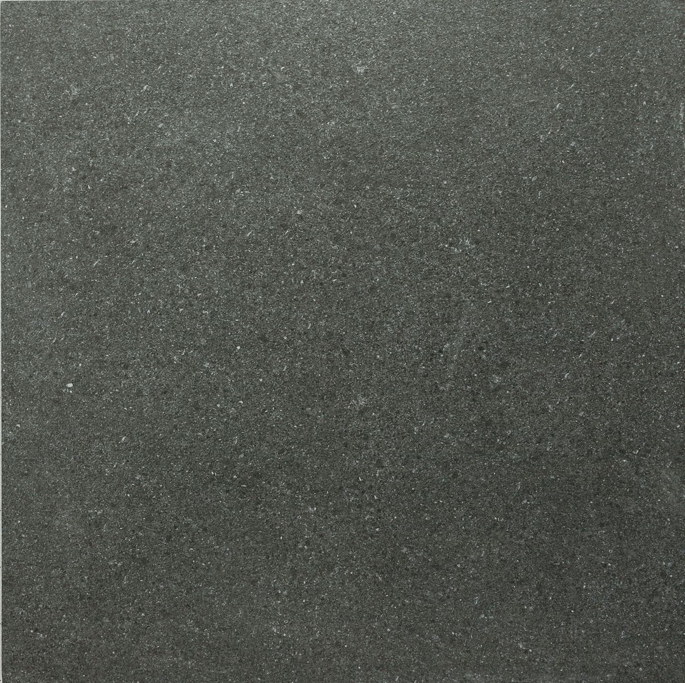 ギャロップ | TECTURE（テクチャー）