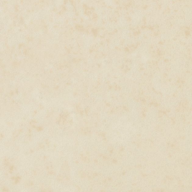 フロア_H FLOOR STONE/タソス（目地なし） | TECTURE（テクチャー）