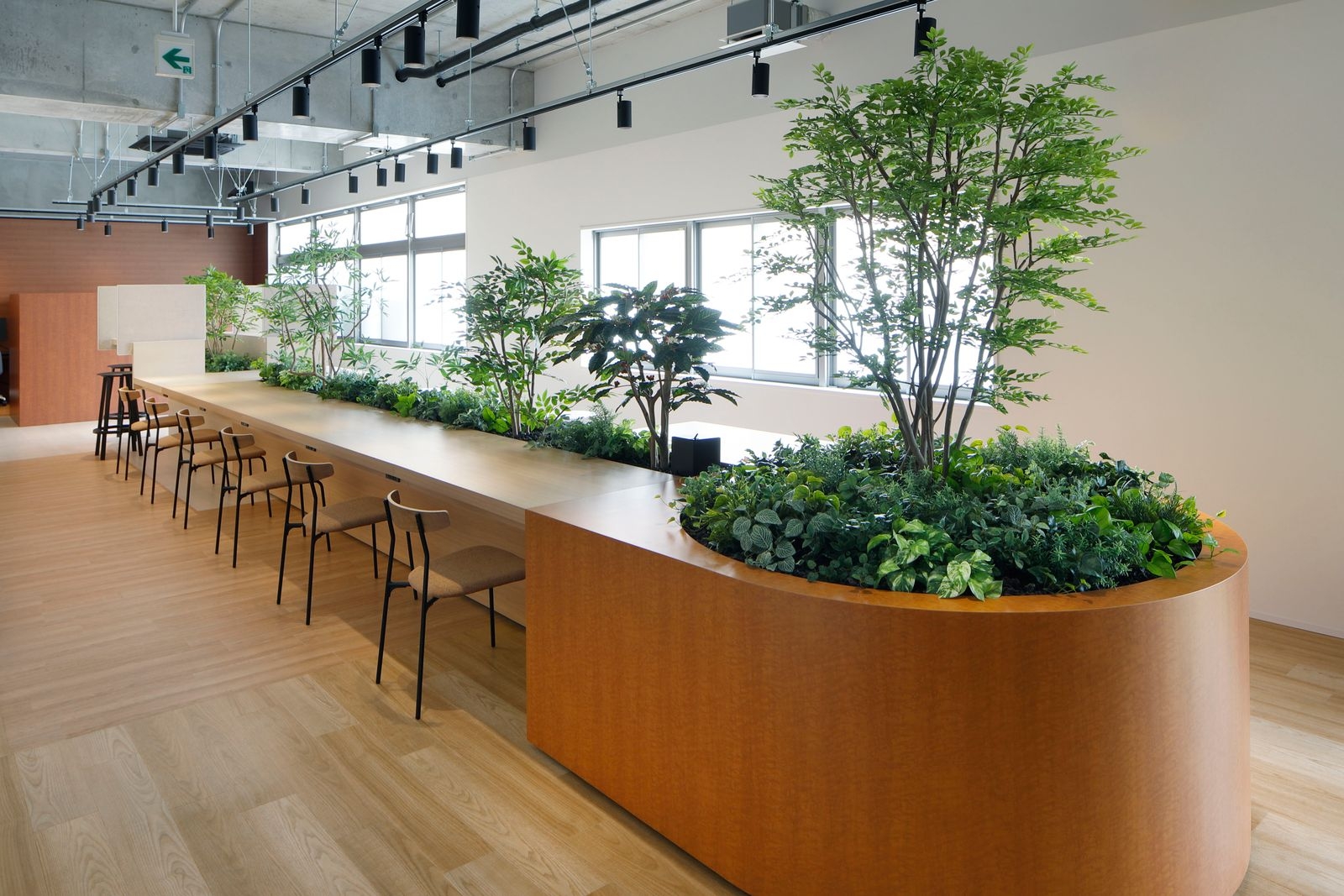 Switch Loungeの写真 | TECTURE（テクチャー）