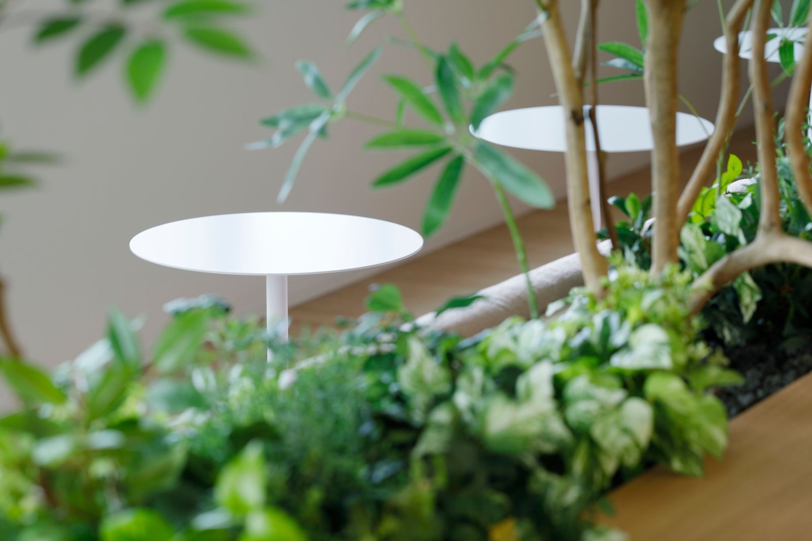 Switch Loungeの写真 | TECTURE（テクチャー）