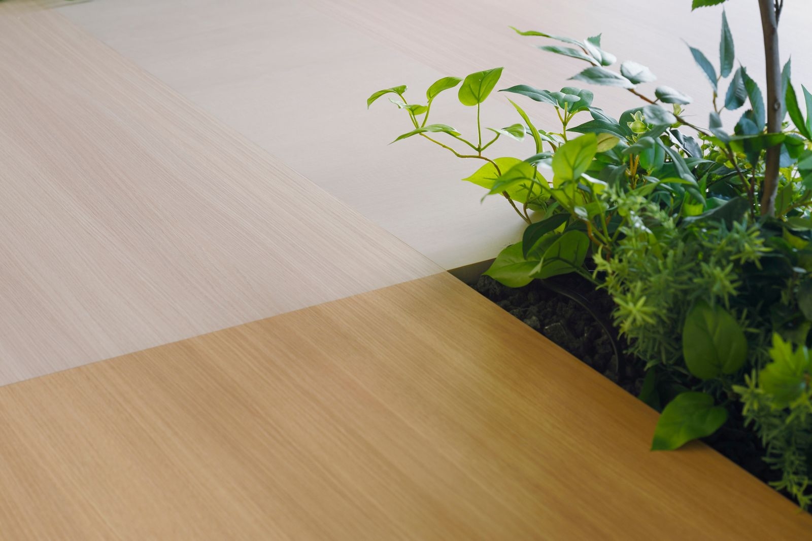 Switch Loungeの写真 | TECTURE（テクチャー）