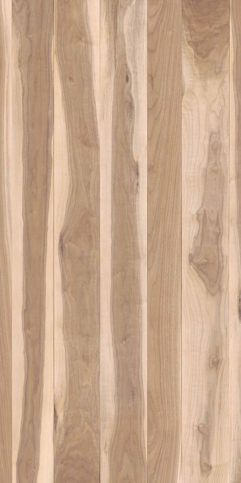 写真 | TECTURE（テクチャー）