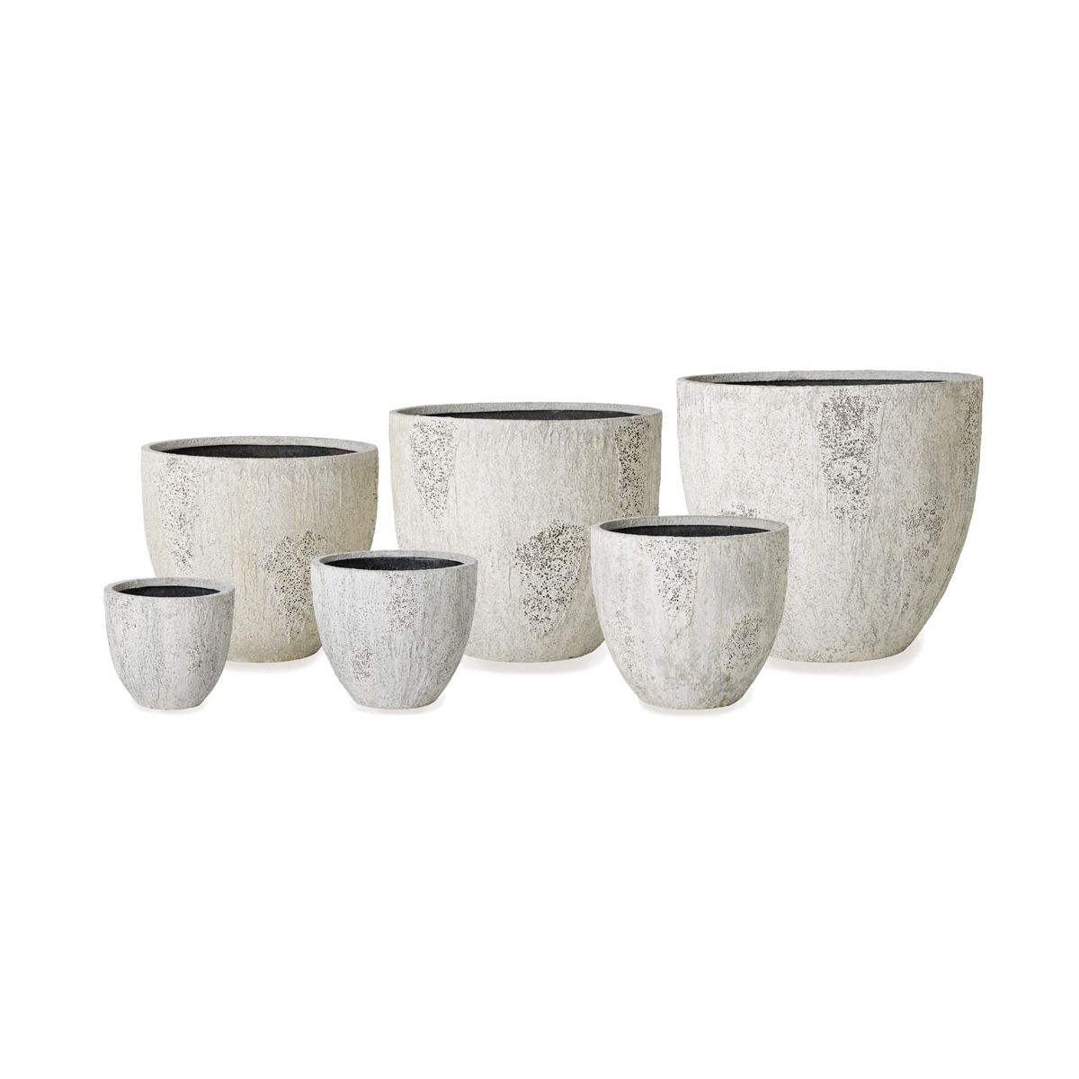 オイスター/オイスター ラウンド - M 42 | TECTURE（テクチャー）