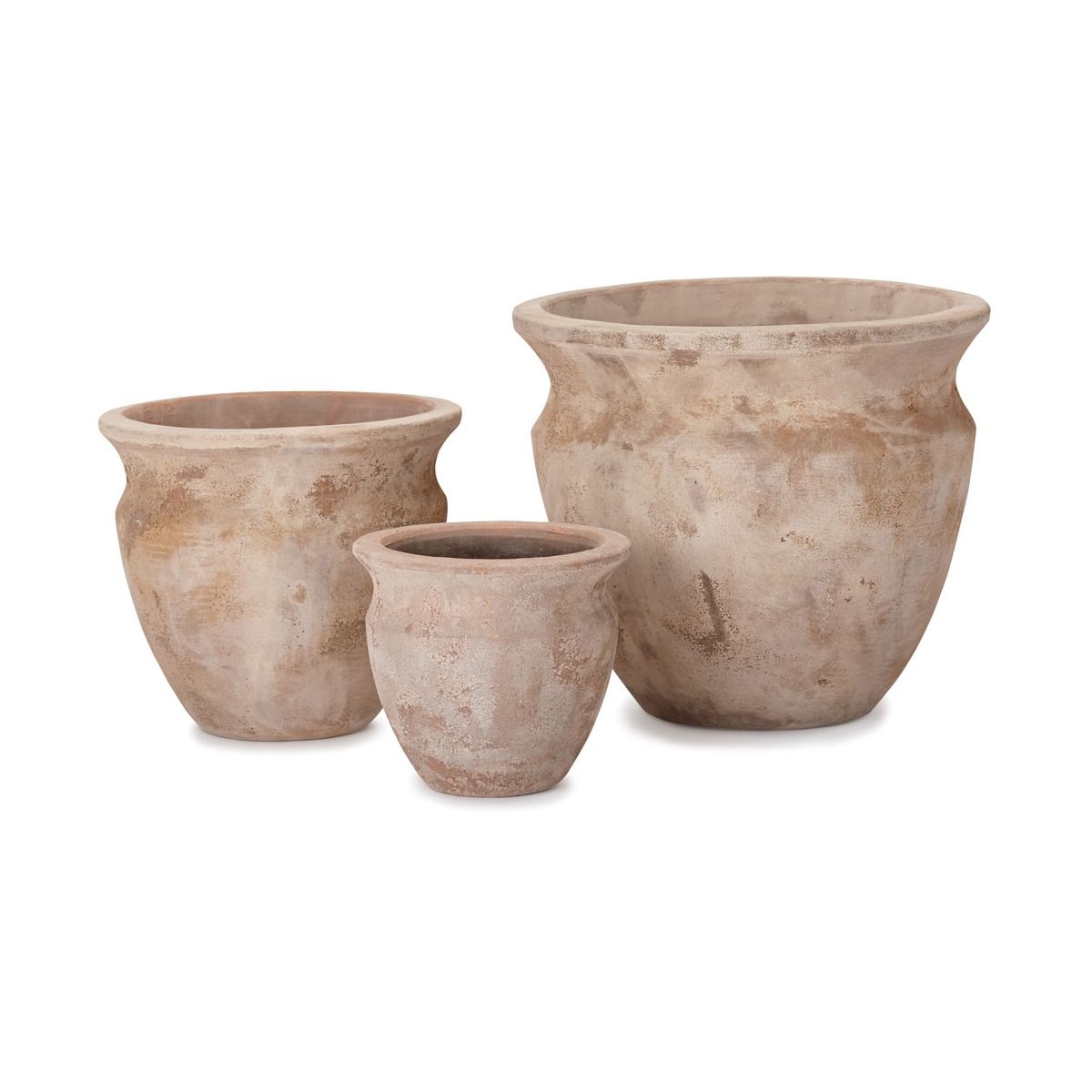 テラアストラ/ベガ - L/M/S | TECTURE（テクチャー）