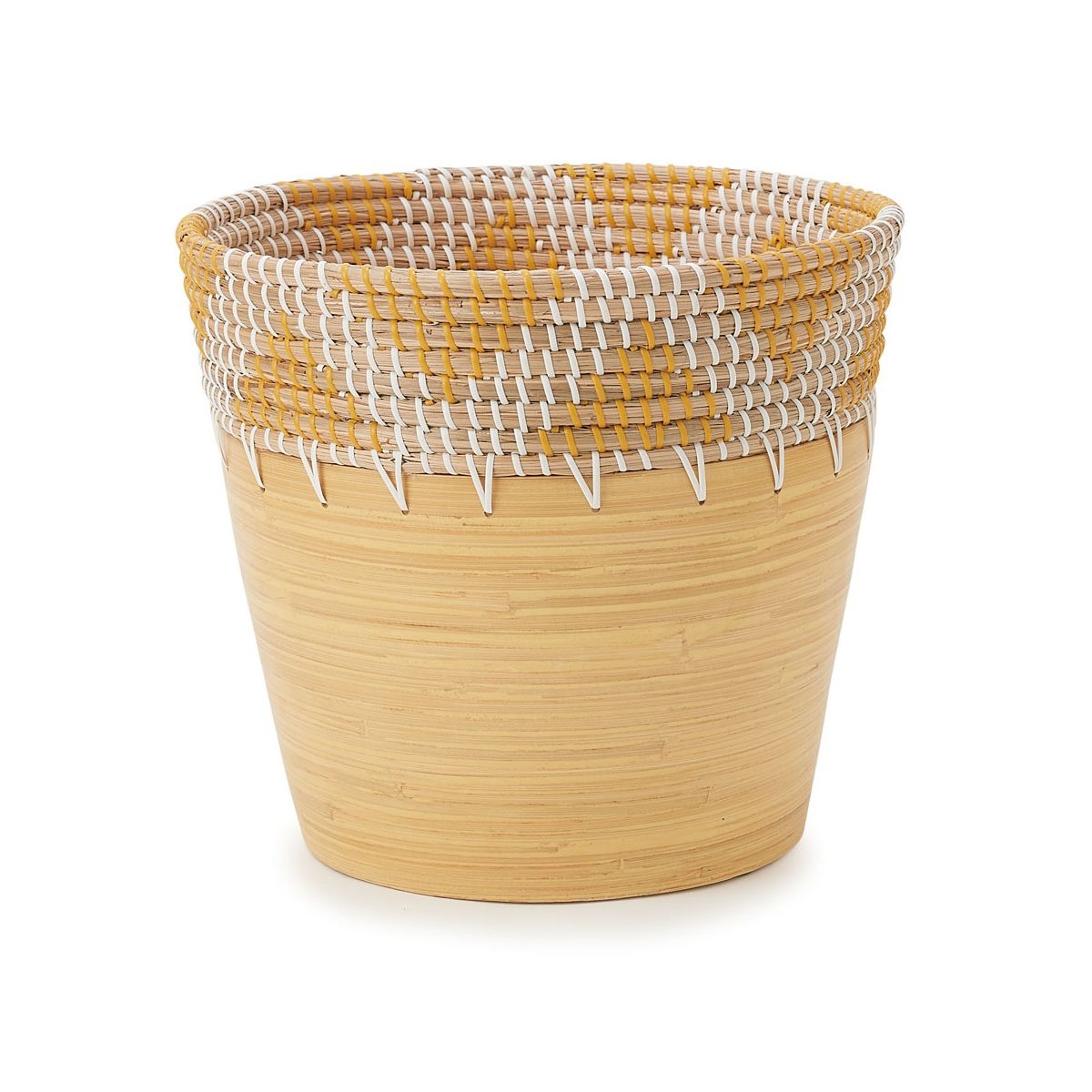 アルマ/コニック - M 42 黄 | TECTURE（テクチャー）