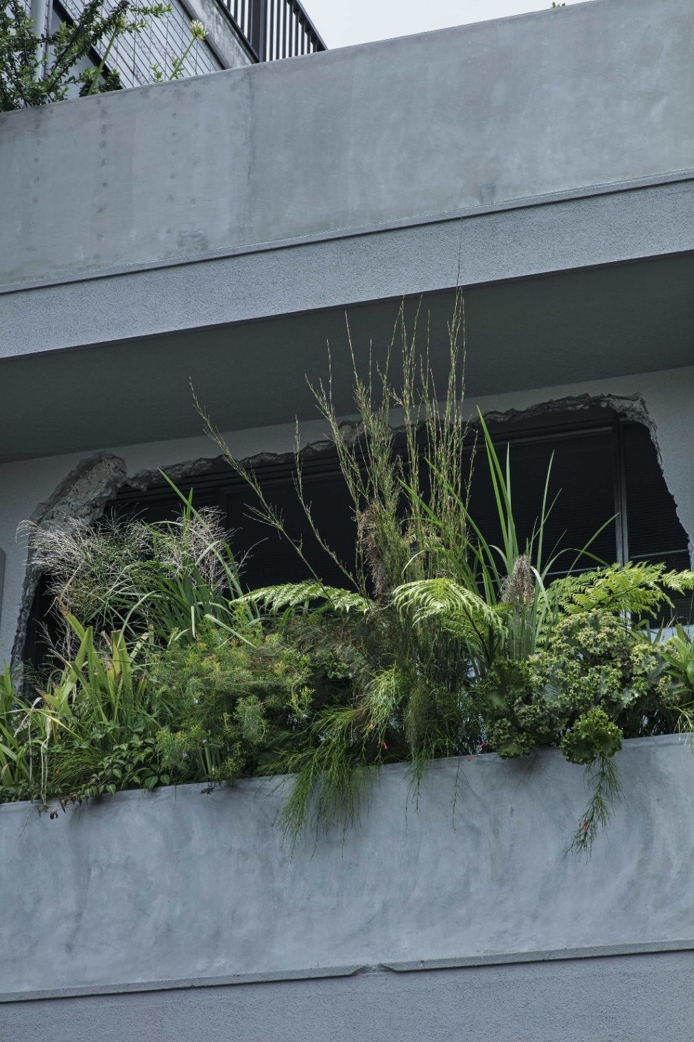 hotel sou の写真 | TECTURE（テクチャー）