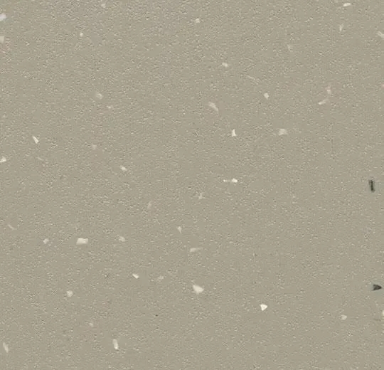 シュアステップ・スター/STEP - cement | TECTURE（テクチャー）