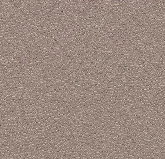 セーフステップ・アクア/STEP | TECTURE（テクチャー）