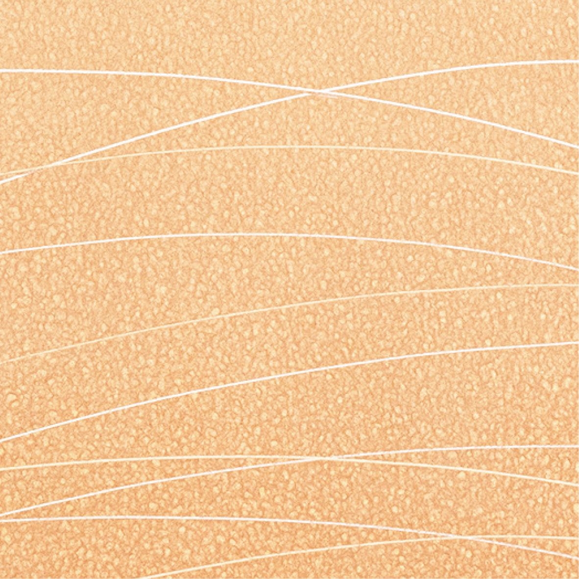 ARC/アーク | TECTURE（テクチャー）