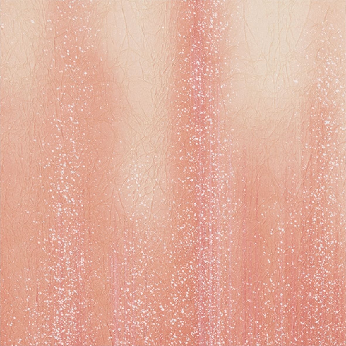 CONCENTRATION/コンセントレーション | TECTURE（テクチャー）