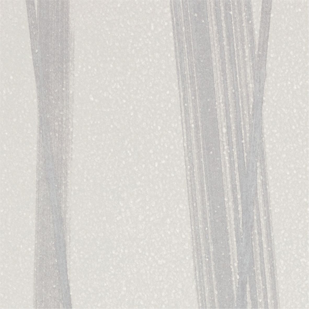 WHITE BIRCH/ホワイトバーチ | TECTURE（テクチャー）