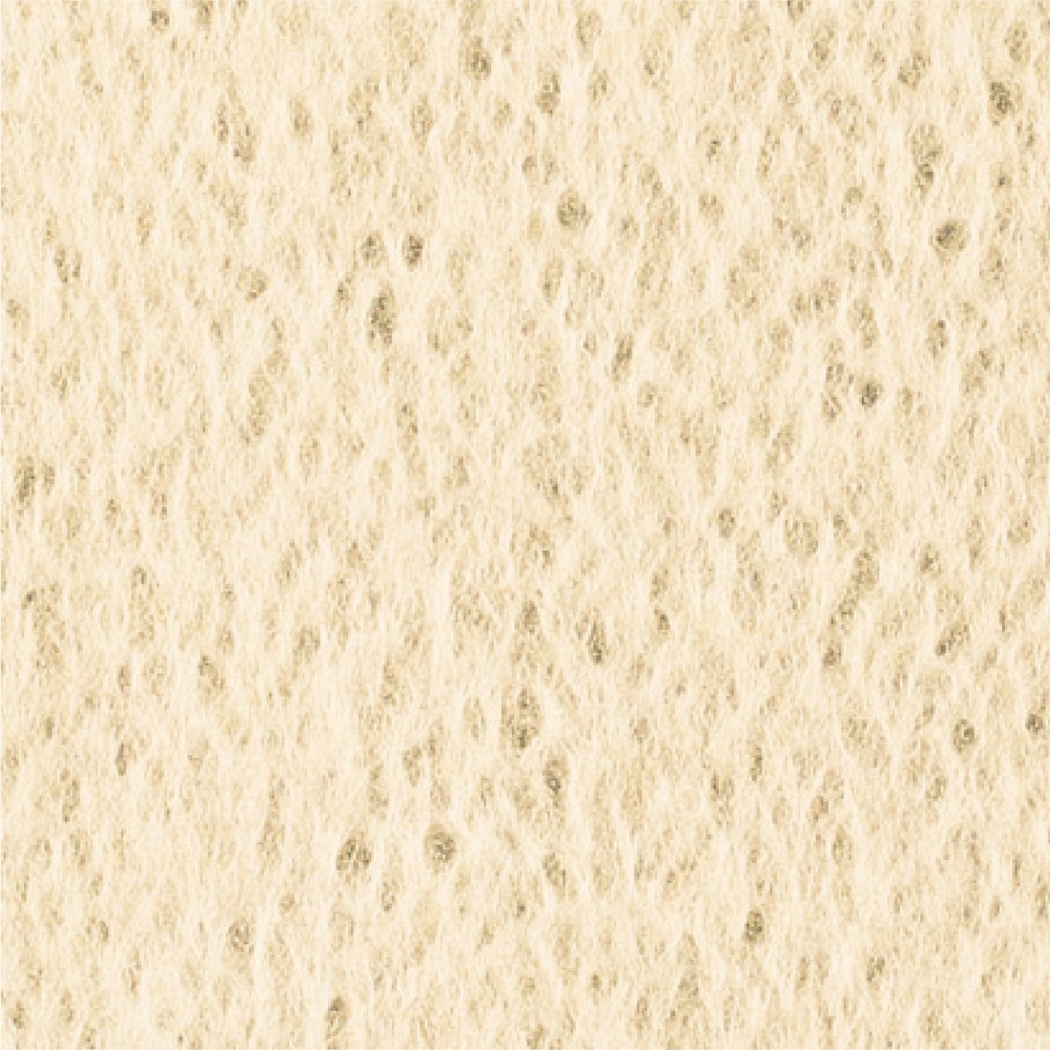 SHINE DEW/シャインデュー | TECTURE（テクチャー）