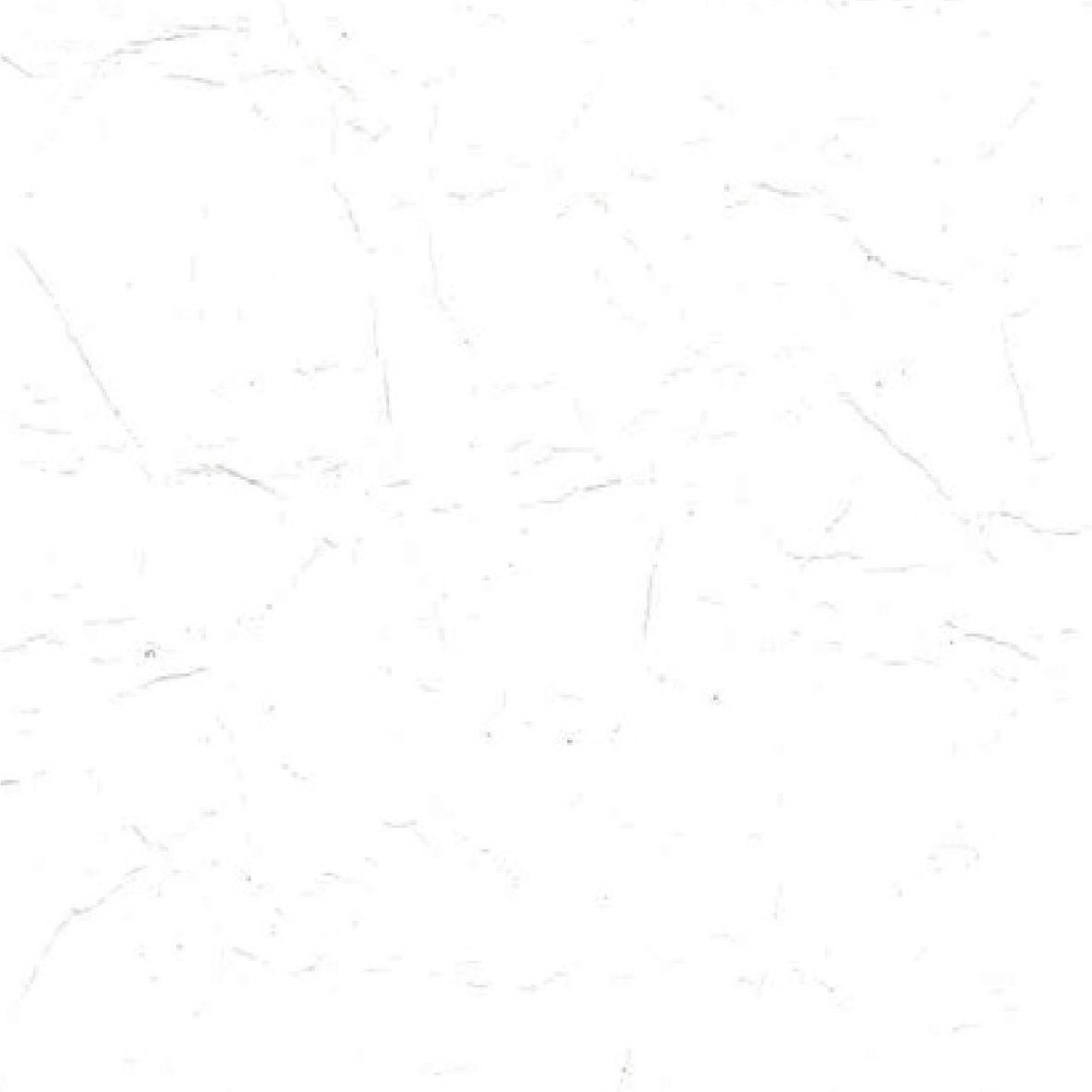 NEW MOMI/ニューモミ | TECTURE（テクチャー）