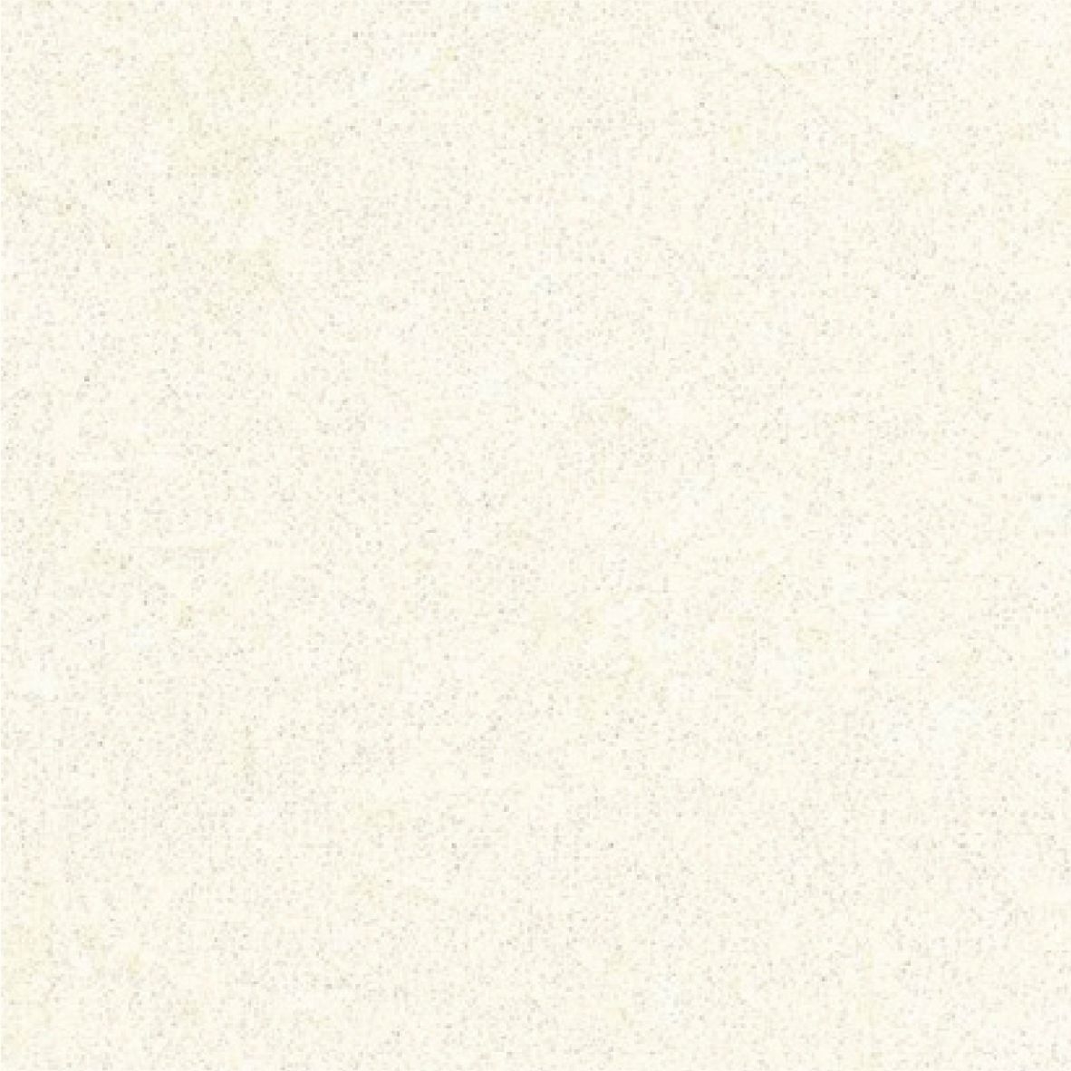 NEW MOMI/ニューモミ | TECTURE（テクチャー）