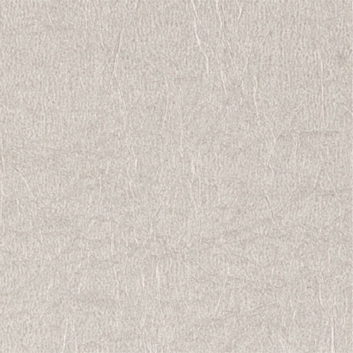 NEW MOMI/ニューモミ | TECTURE（テクチャー）