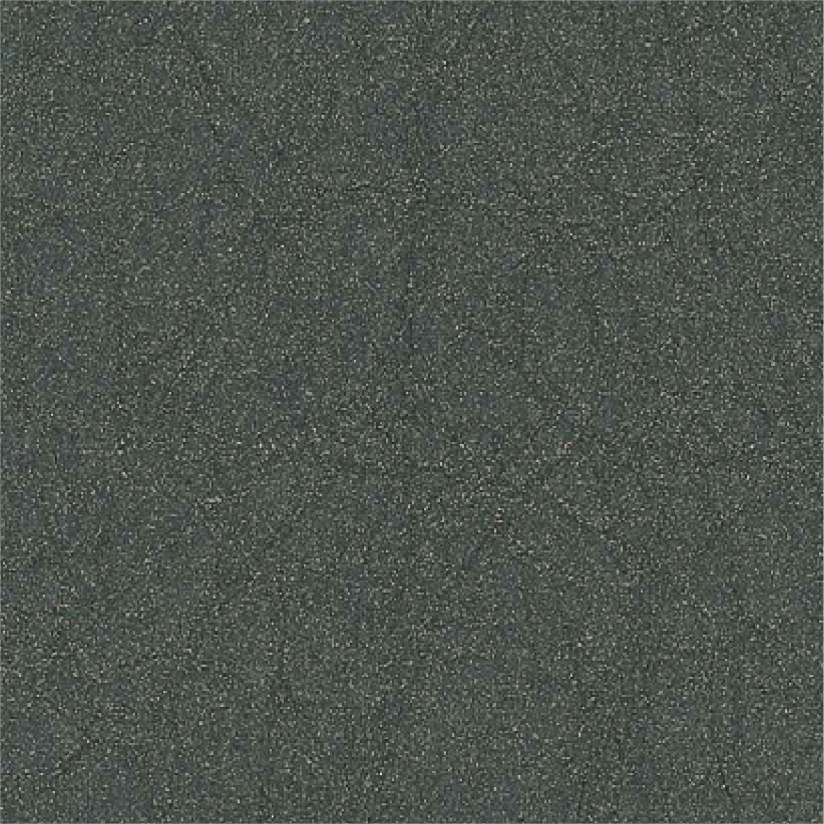 NEW MOMI/ニューモミ | TECTURE（テクチャー）