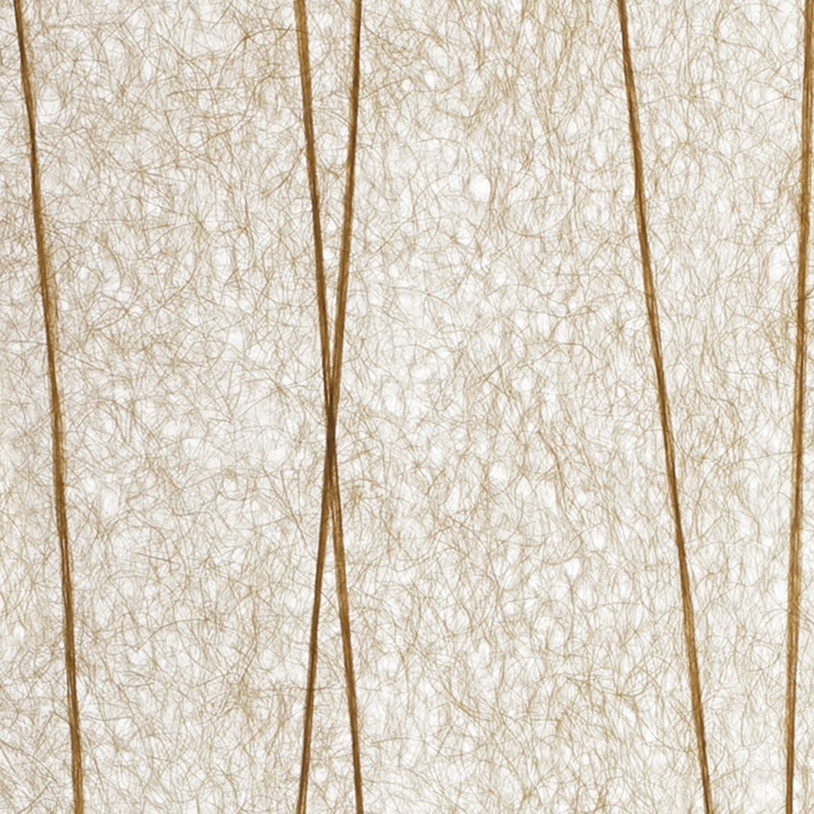 KOBOKU/コボク | TECTURE（テクチャー）