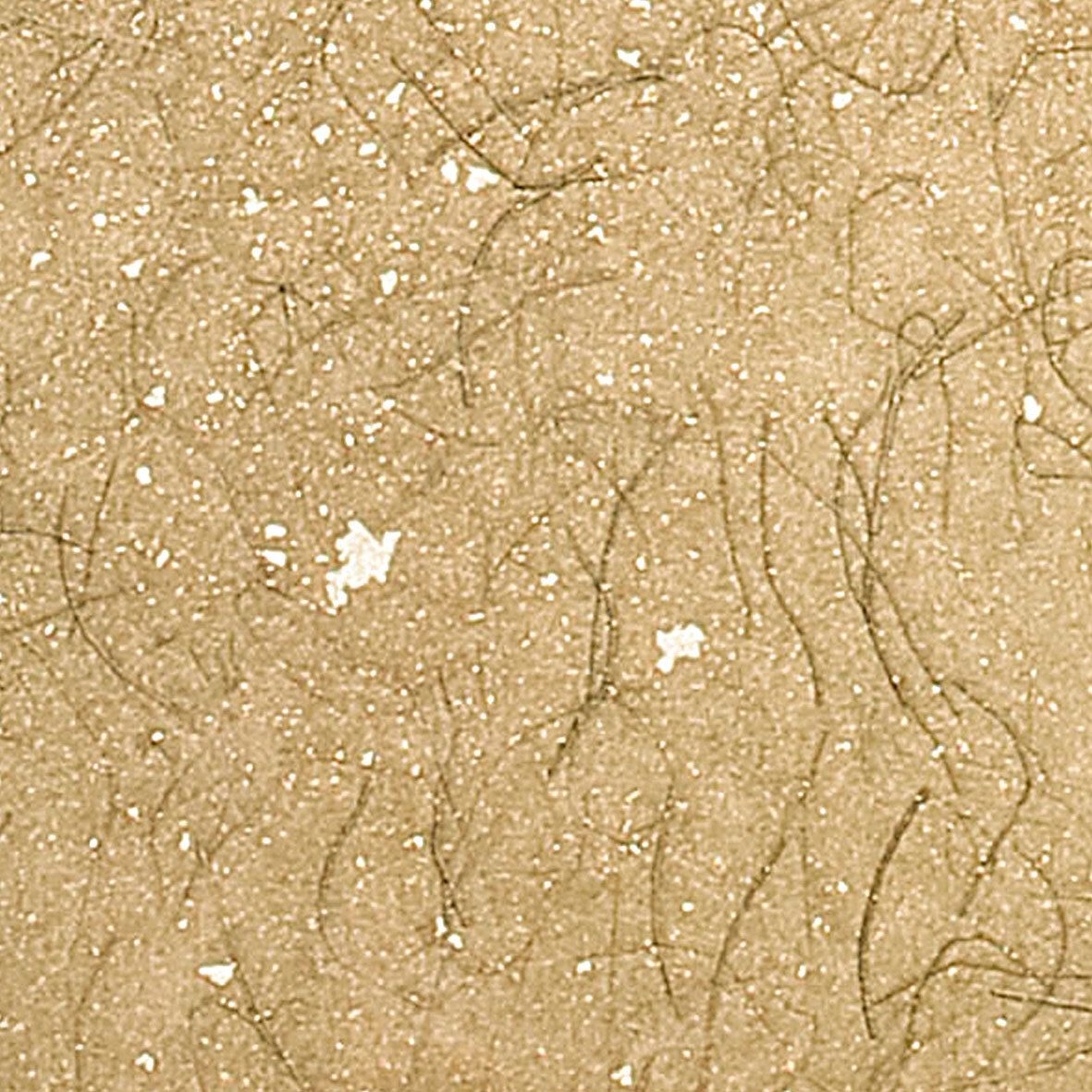 VAPOR/ヴェイパー | TECTURE（テクチャー）