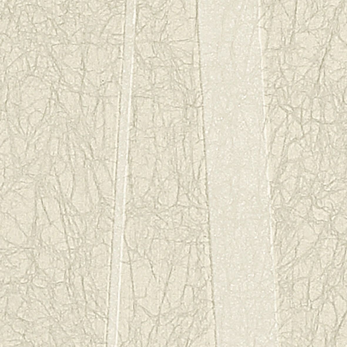 SHIRAKABA/シラカバ | TECTURE（テクチャー）