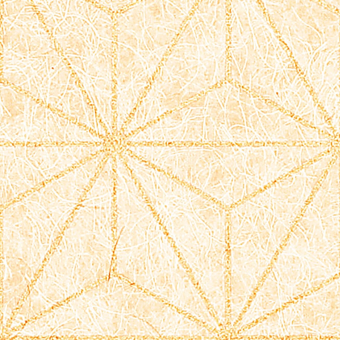 ASANOHA/アサノハ | TECTURE（テクチャー）