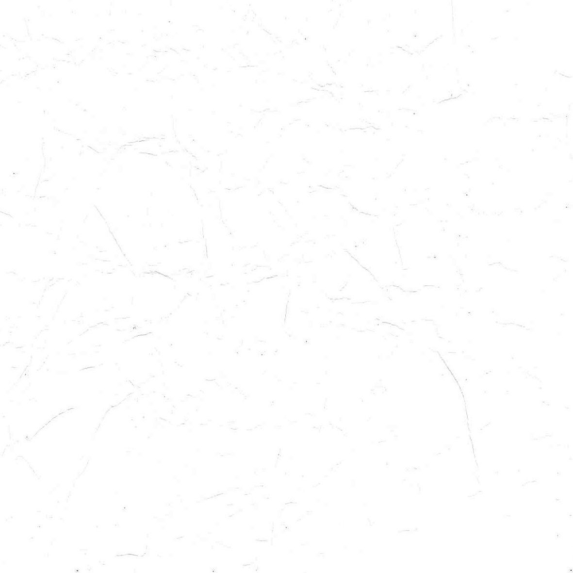 NEW MOMI/ニューモミ | TECTURE（テクチャー）