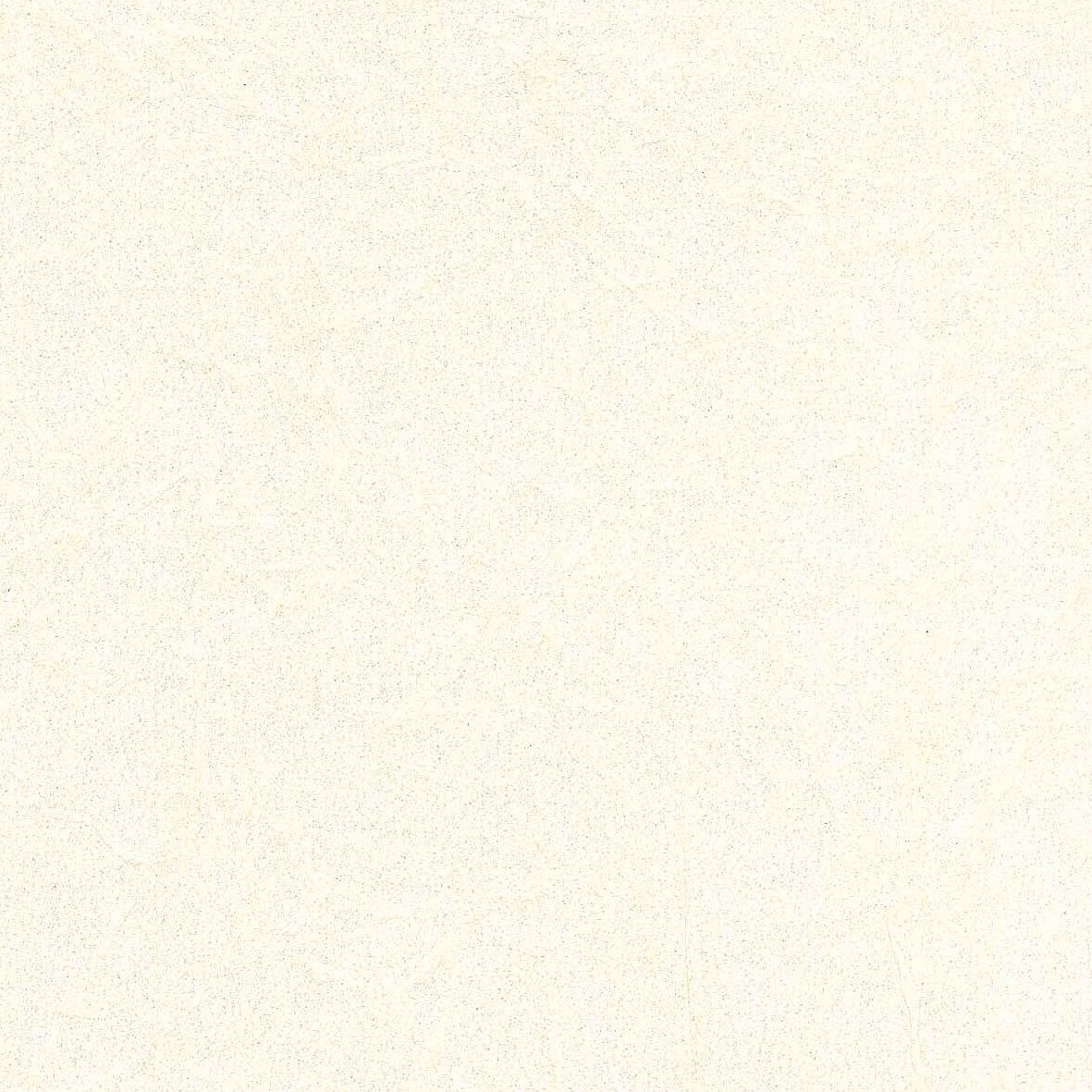 NEW MOMI/ニューモミ | TECTURE（テクチャー）