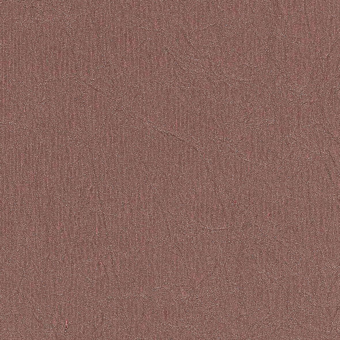 NEW MOMI/ニューモミ | TECTURE（テクチャー）